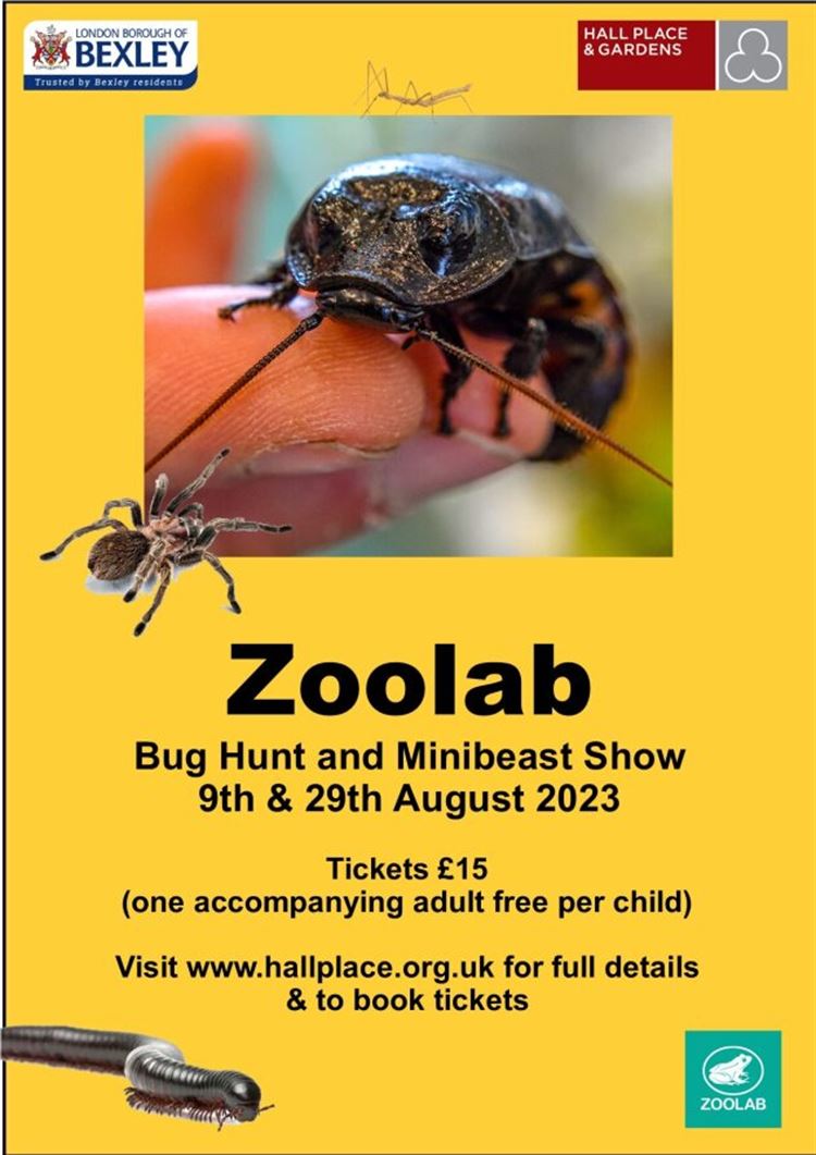 Zoolab: Bug Hunt and Minibeast Show